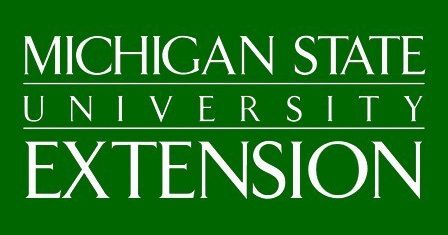 Michigan State University Extension/4-H Youth Program | Choose Marshall