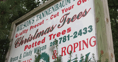 Wilson's Tannenbaum Farm | Choose Marshall