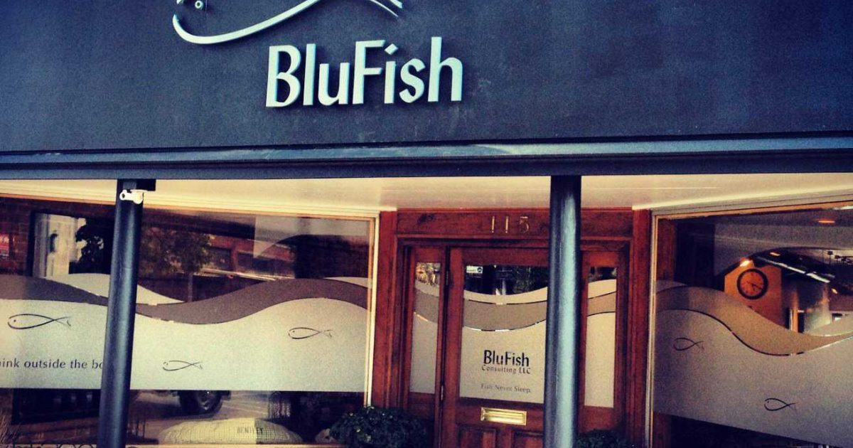 BluFish - A Branding Agency | Choose Marshall