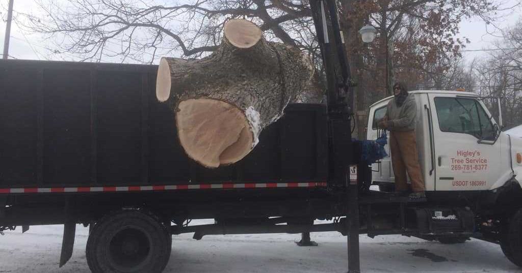 Higley's Tree Service, LLC | Choose Marshall